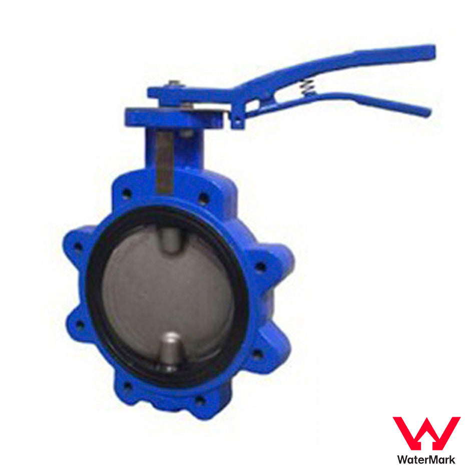 Lugged Butterfly Valve – Challenger Valves