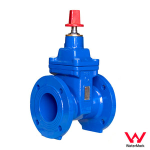 Gate Valve - GVR – Challenger Valves