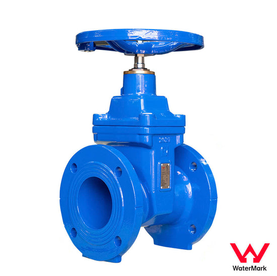 Gate Valve - GVR – Challenger Valves