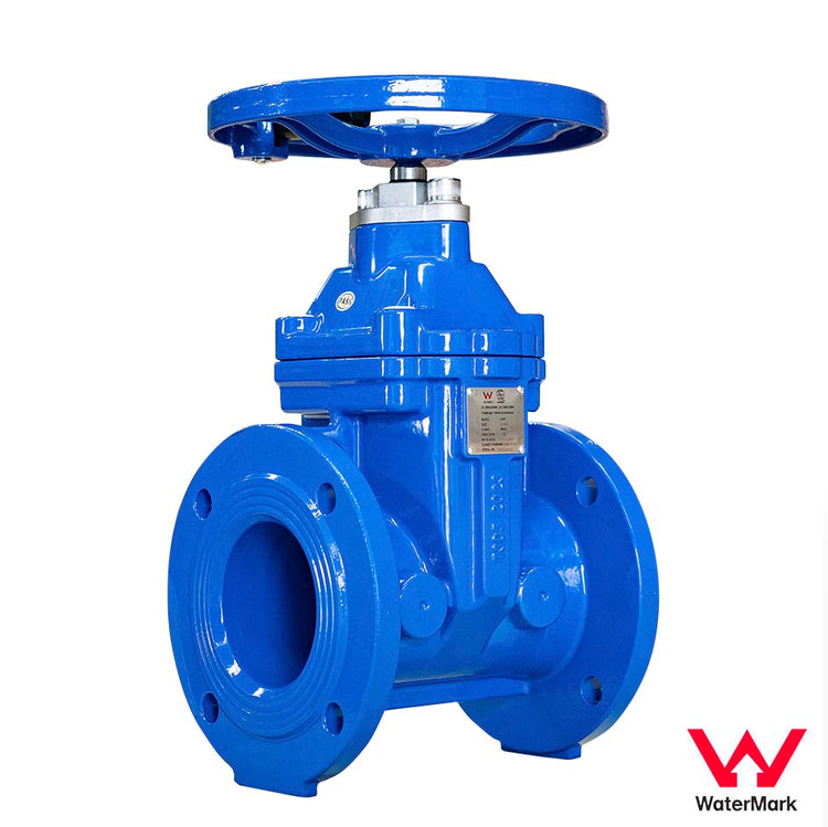 Gate Valve - GVR2 – Challenger Valves