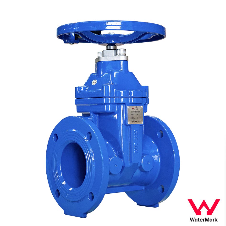 Gate Valves – Challenger Valves